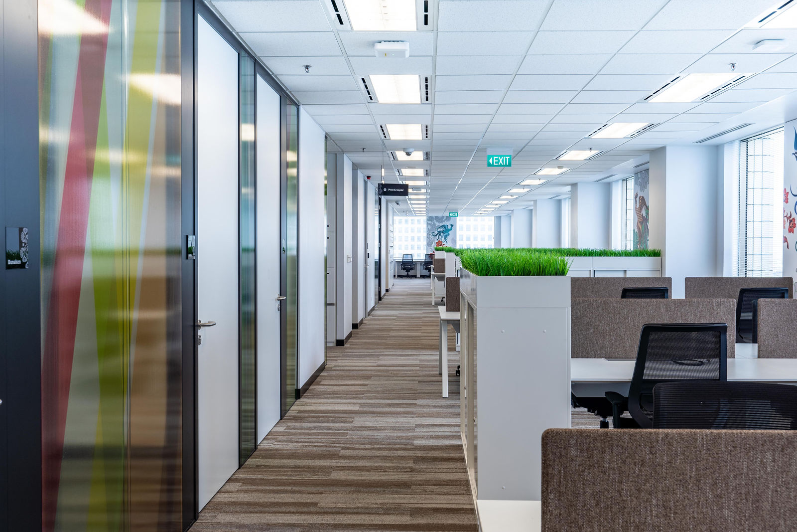 P&G – Fabs International